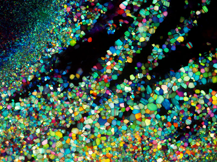 Photo micrography competitions – Atelier Bétoux